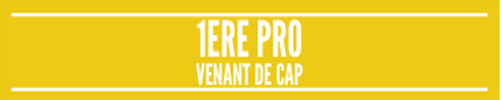 Lycée public, technologique et professionnel Raspail à Paris 14e